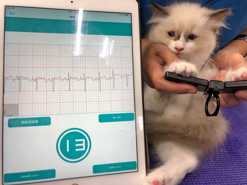 AI動物心電圖助獸醫診斷 (ANIWARE麥年豐) - EJ Tech